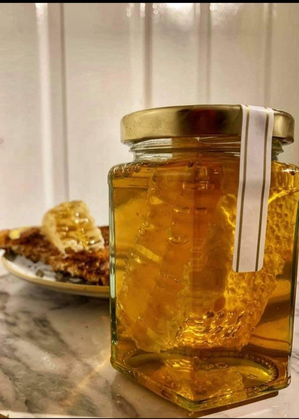 Glory Bee UK Ltd – Glory Bee UK Limited